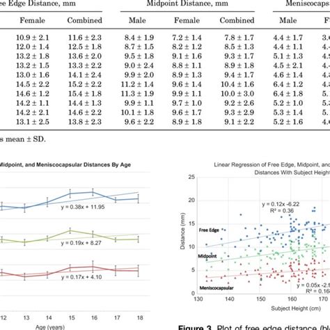 Edge Midpoint And Meniscocapsular Distances For Each Age Group By Sex