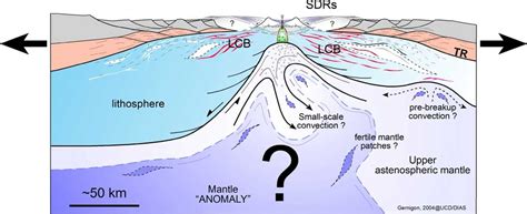 Features Of Ocwomen Tectonic And Deep Crustal Structures Along The