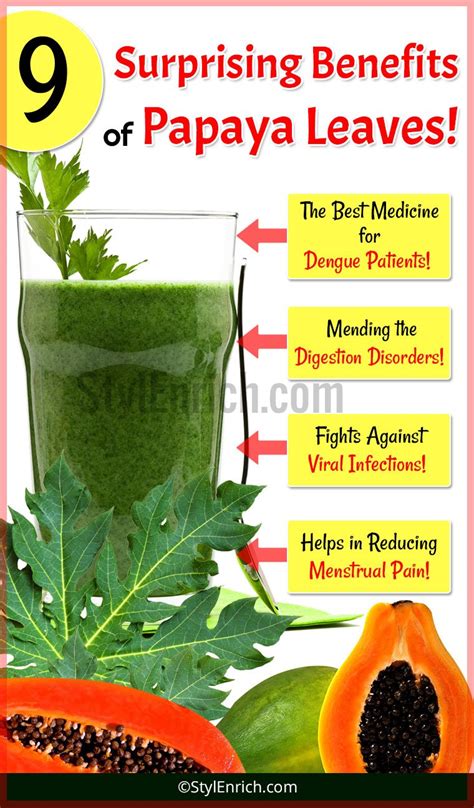 Papaya Leaves Juice Benefits For Healthy Natural Life