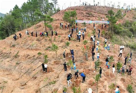 广东累计义务植树超50亿株，创新推出“认种一棵树”义务植树小程序 房产资讯 房天下