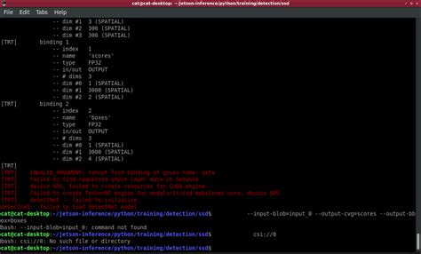Detectnet Failed To Load Detectnet Model Tensorrt Nvidia Developer