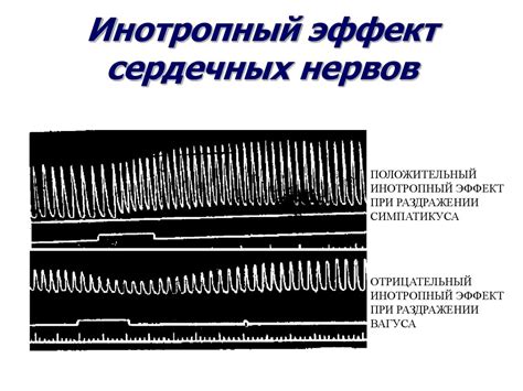 Физиология системы кровообращения Online Presentation