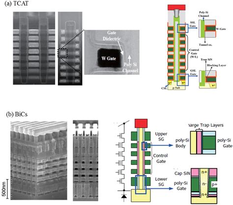 Figure 1 1 From Three Dimensional Simulation Of Retention Characteristics Of Charge Trap Ct