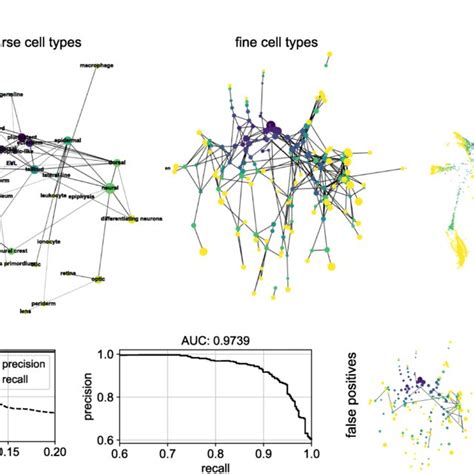 Pdf Paga Graph Abstraction Reconciles Clustering With Trajectory Inference Through A Topology