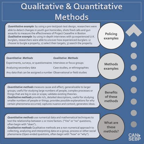 qualitative and quantitative infographic pdf