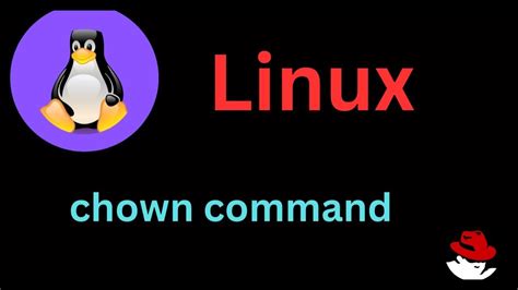 2650 Basic Linux Commands Chown Command Explained Shortsvideo