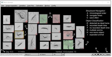 High Throughput Behavioral Aging And Lifespan Assays Using The Lifespan Machine