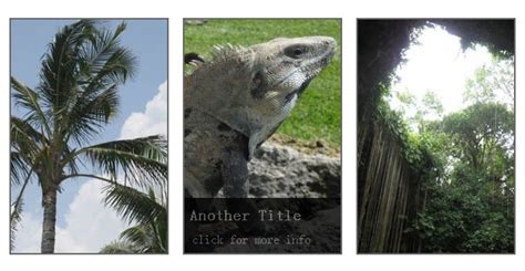 Super Simple Jquery Caption Hover Over Effect Jquery Caption Free Jquery Plugins