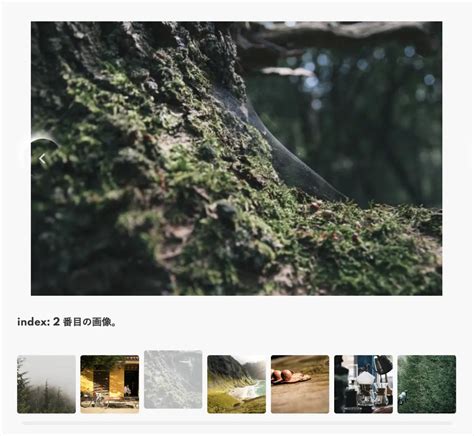 【laravel9 vite vue js 3】 swiper でサムネイル付きのスライドショー sfc を作成する記録 oki2a24