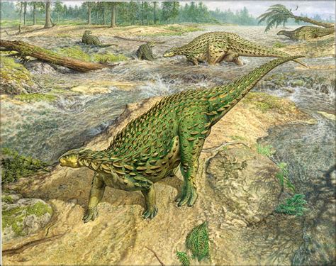 First Dinosaur Fossil Found