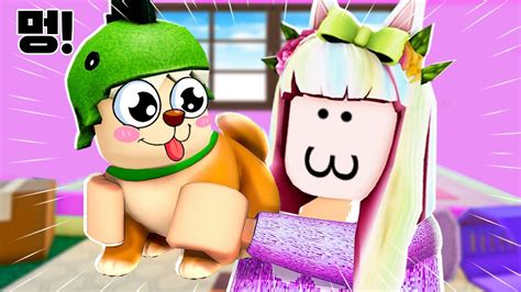 주인을 잃어버린 불쌍한 강아지가 됐어요 로블록스 도리 수니 Youtube