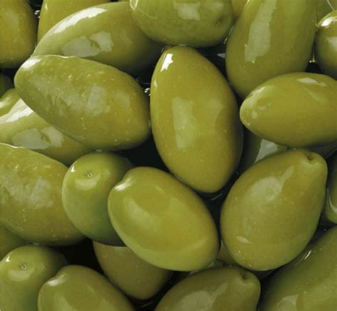 Giant Whole Green Cerignola Olives Alimentis Srl