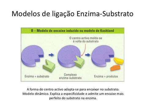 Bio12 Enzimas