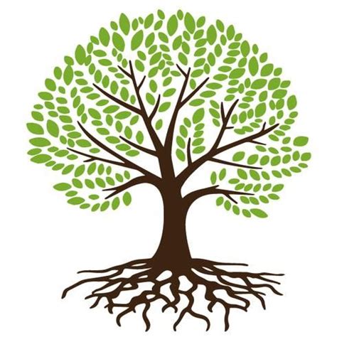 árbol con raíces Arte de árboles Árbol de la vida céltico Dibujos a