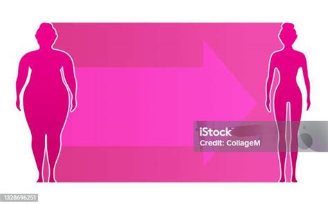 체중 감소 사람의 무게에 다이어트의 영향 Bmi 몸 질량 지수 남자와 여자 전후 다이어트와 피트 니스 지방과 얇은 남자와 여자 가냘픈에 대한 스톡 벡터 아트 및 기타 이미지