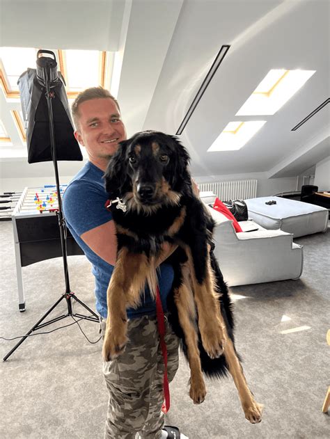 Swingdev A Hippo Company Developed With A Human Touch