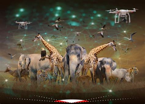 visacent ltd on linkedin ai is playing a crucial role in wildlife