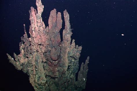 What Is A Hydrothermal Vent