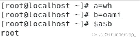 Linux下的命令执行绕过技巧合集（渗透测试专用）linux命令执行绕过空格 Csdn博客