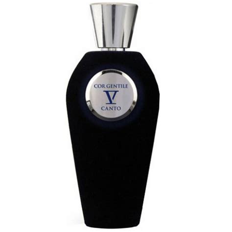 Buy V Canto Cor Gentile Extrait De Parfum 100ml Online Uae