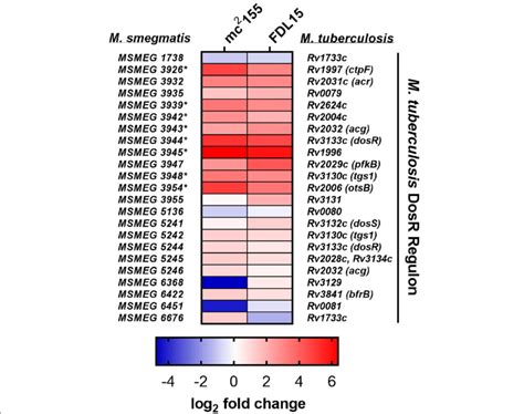 M Smegmatis Prrab Regulates Dormancy Associated Genes Of The Dosr Download Scientific Diagram