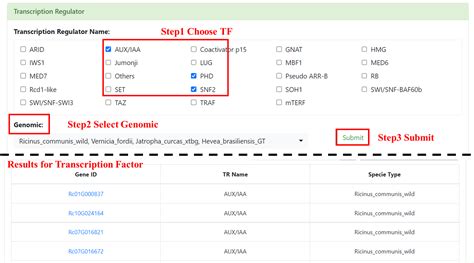 Euphorbiaceae Db Tutorial