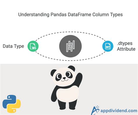 How To Get The Data Type Of Column In Pandas Dataframe
