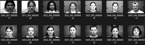 How To Create Music Emotion Recognition System Using Cnn