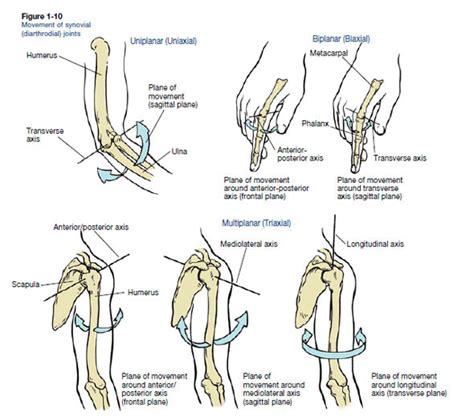 earth s axis of rotation science news