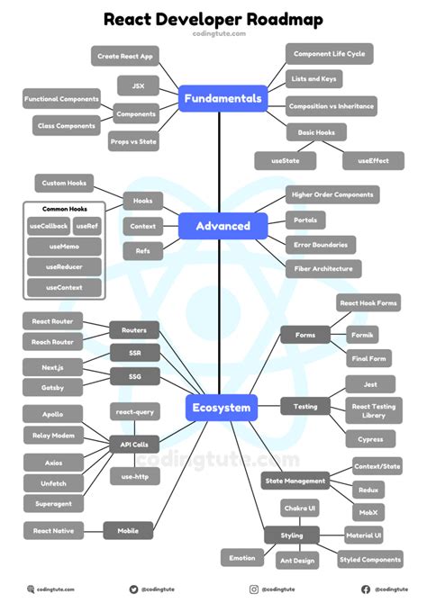 Master React Your Complete Developer Roadmap ⚛️ In 2025 Software Development Programming