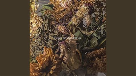 Oh Love Youtube Music