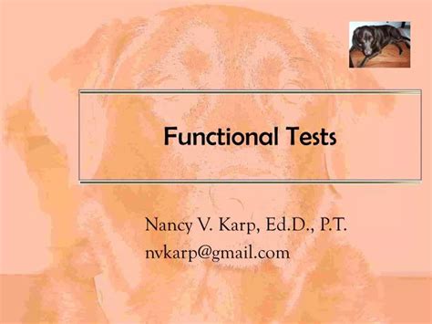 PPT Functional Tests PowerPoint Presentation Free Download ID 281104