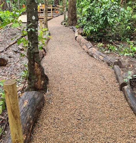 Tree Protection Zones TRUEGRID Australia