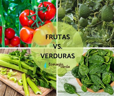 La Biolo Guía ¡diferencias Entre Frutas Y Verduras 42 Off