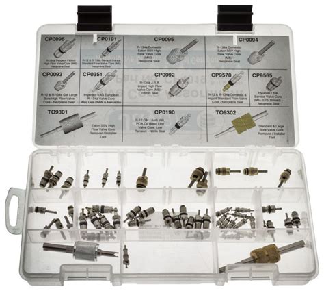 51 Piece Assorted Schrader Valve Kit