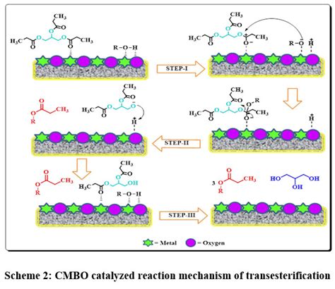 The Emergence Of Cao Mgo Based Binary Oxides Of Alkaline Earth Metals As Cost Effective Solid
