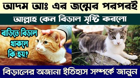 বিড়ালকে কেন হযরত আদম আঃ এর জন্মের পরপরই সৃষ্টি করা হলো। Youtube
