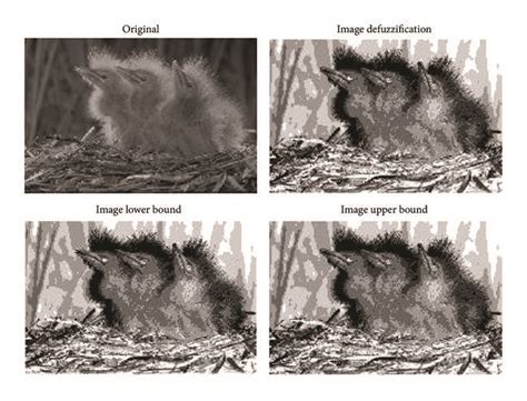 resulting image clustering performed to figure 2 a by the it2fpcm