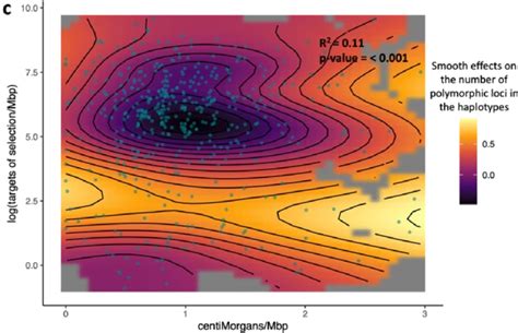 5 Patterns Of Polymorphism Within Haplotypes Can Be Explained By Download Scientific Diagram