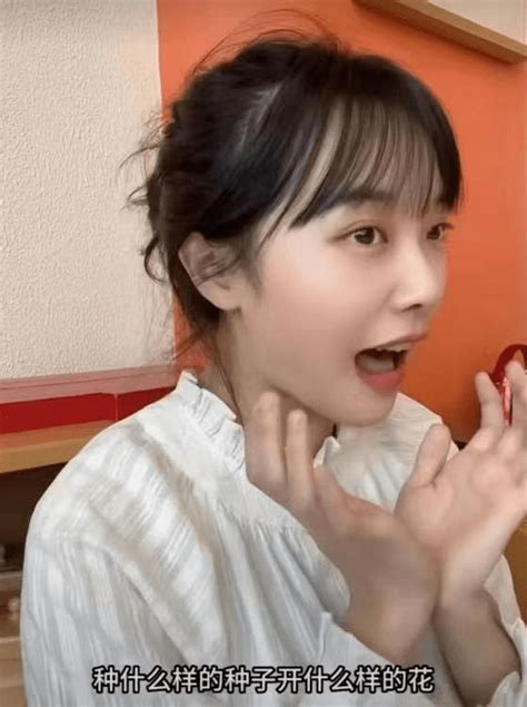 “挖呀挖”背后，真正值得深挖的问题丨评论合辑视频儿歌公众