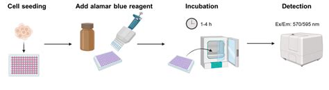 Apexbio Alamar Blue Cell Viability Assay Kit