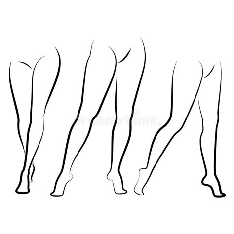 Legs Lady Stock Illustrations 13409 Legs Lady Stock Illustrations