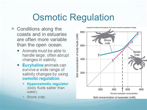 Homeostasis Chapter Ppt Video Online Download