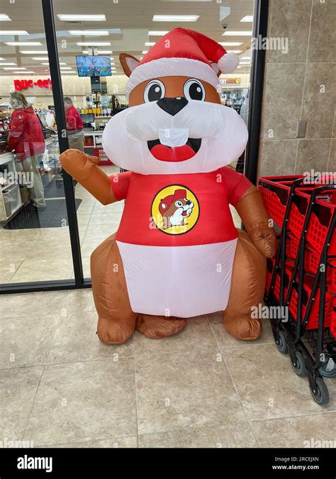 Daytona Beach Fl Usa October 28 2022 A Blow Up Buccee Beaver The