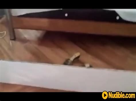 Dalawang Puke Sa Iisang Titi Nudible Eporner