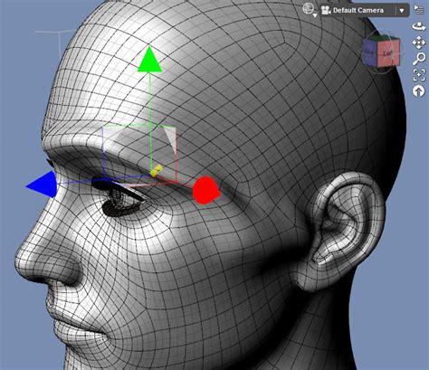 How To Create A Mirror Morph For Mesh Grabber Daz 3d Forums
