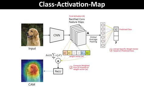 Github Ali K Hesarhow Ai Sees Our World Vision Transformer Vit