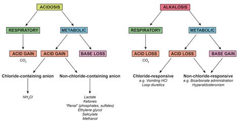 Acidosis And Alkalosis Blood Gas Interpretation • Litfl • Ccc