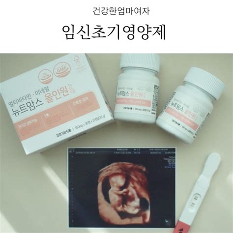 임신준비 임신초기영양제로 시작해 출산후영양제까지 뉴트맘스올인원으로 네이버 블로그