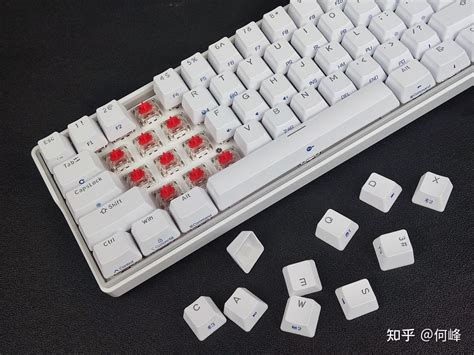 提前段落高回弹 佳达隆小袋鼠轴换轴体验 知乎